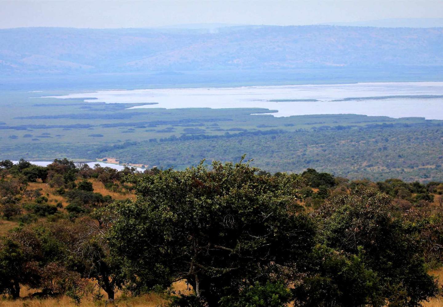 Rwanda Wildlife Tour (Akagera National Park) | Magic Safaris